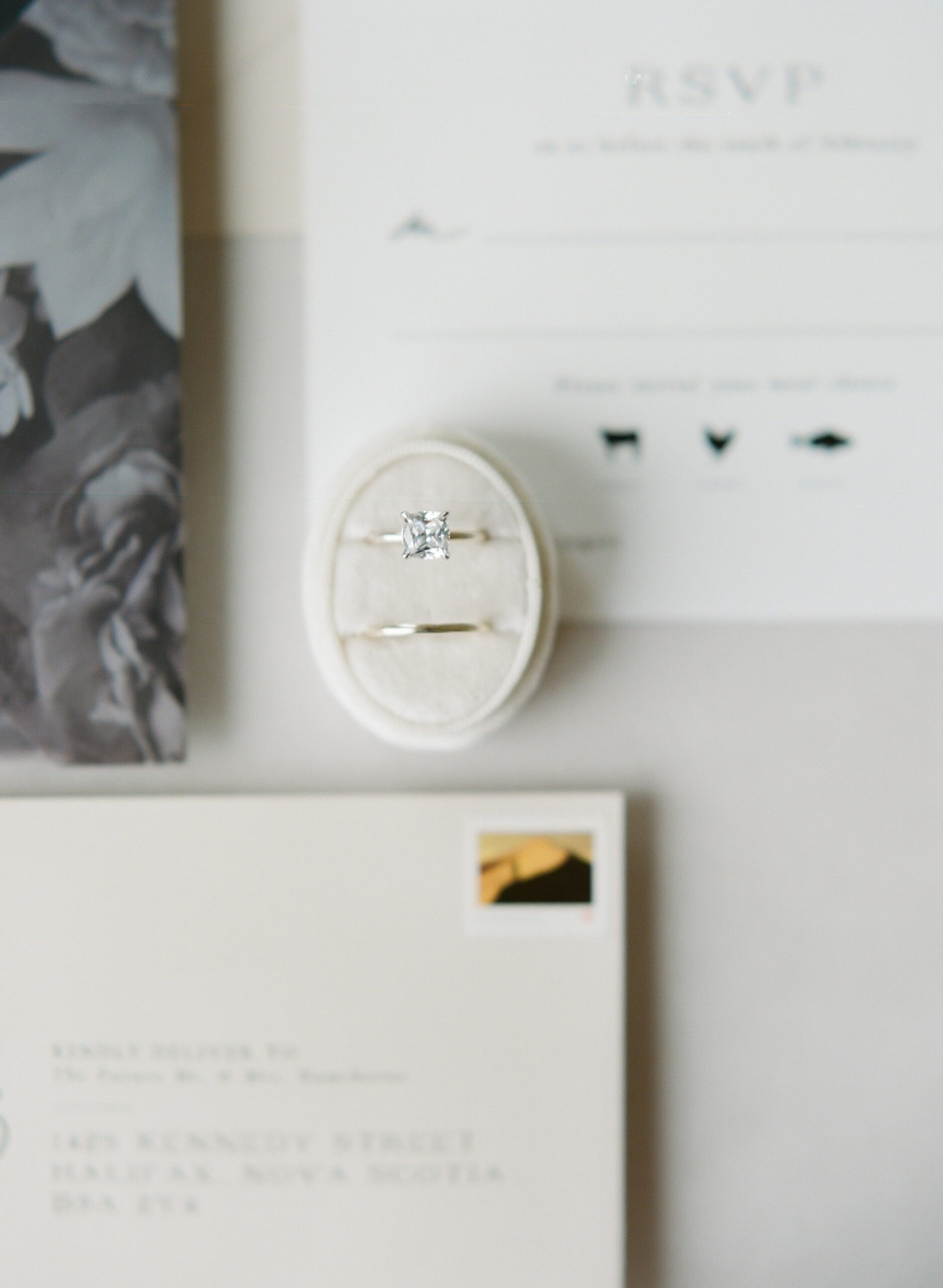 The Magic of Bull Point Estate - Journal